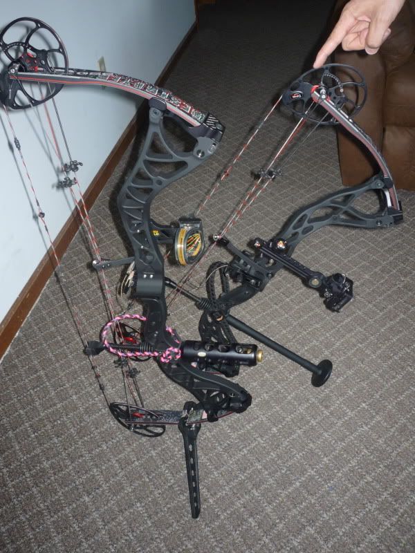 Lets see some Bowtech Rigs. | Page 3 | Archery Talk Forum